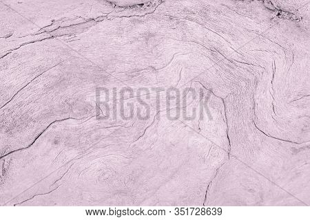 Wood Plank Pink Sweet Image & Photo (Free Trial) | Bigstock