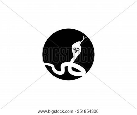 King Cobra Snake Icon Vector & Photo (Free Trial) | Bigstock