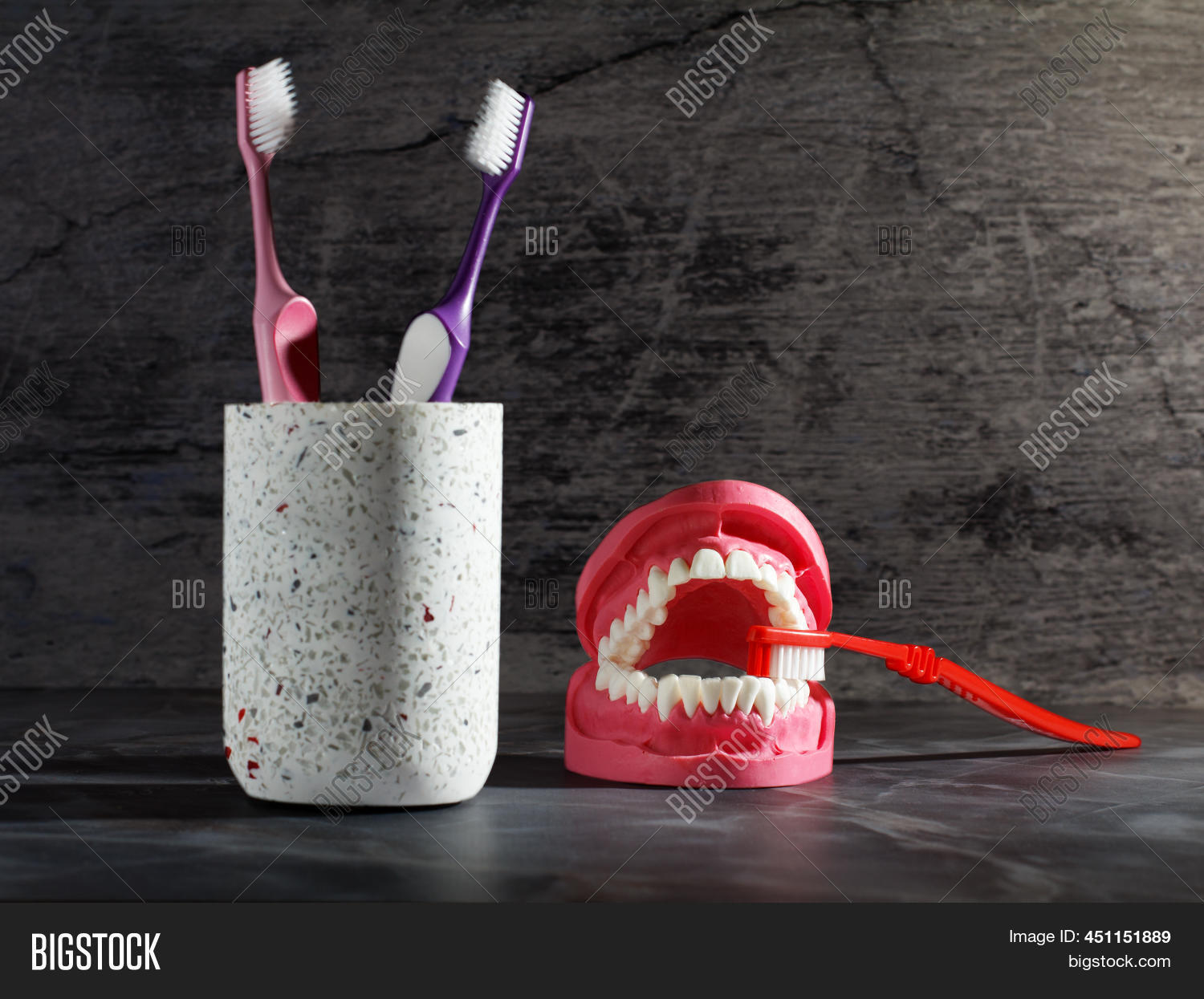 Layout Human Jaw Image & Photo (Free Trial) | Bigstock