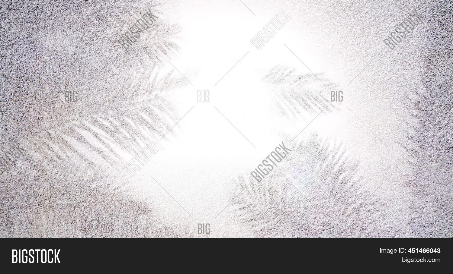 Coconut Palm Trees Image & Photo (Free Trial) | Bigstock