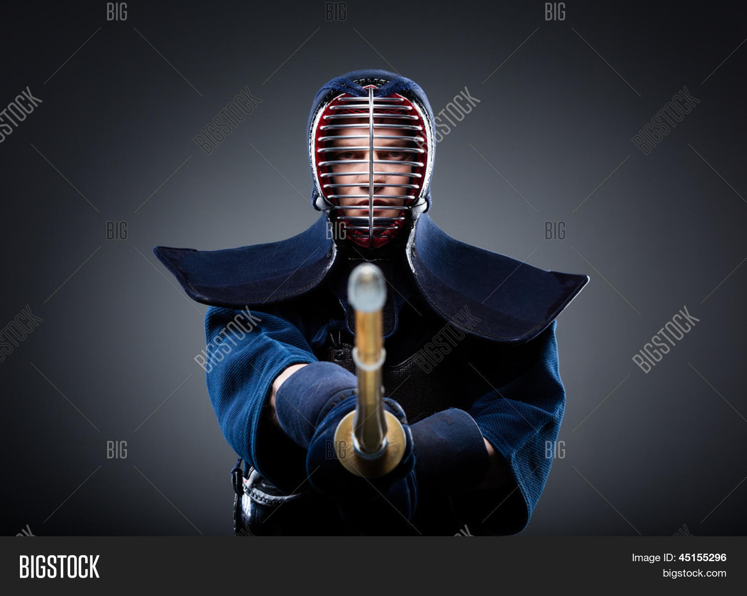 Portrait Kendo Fighter Image & Photo (Free Trial) | Bigstock