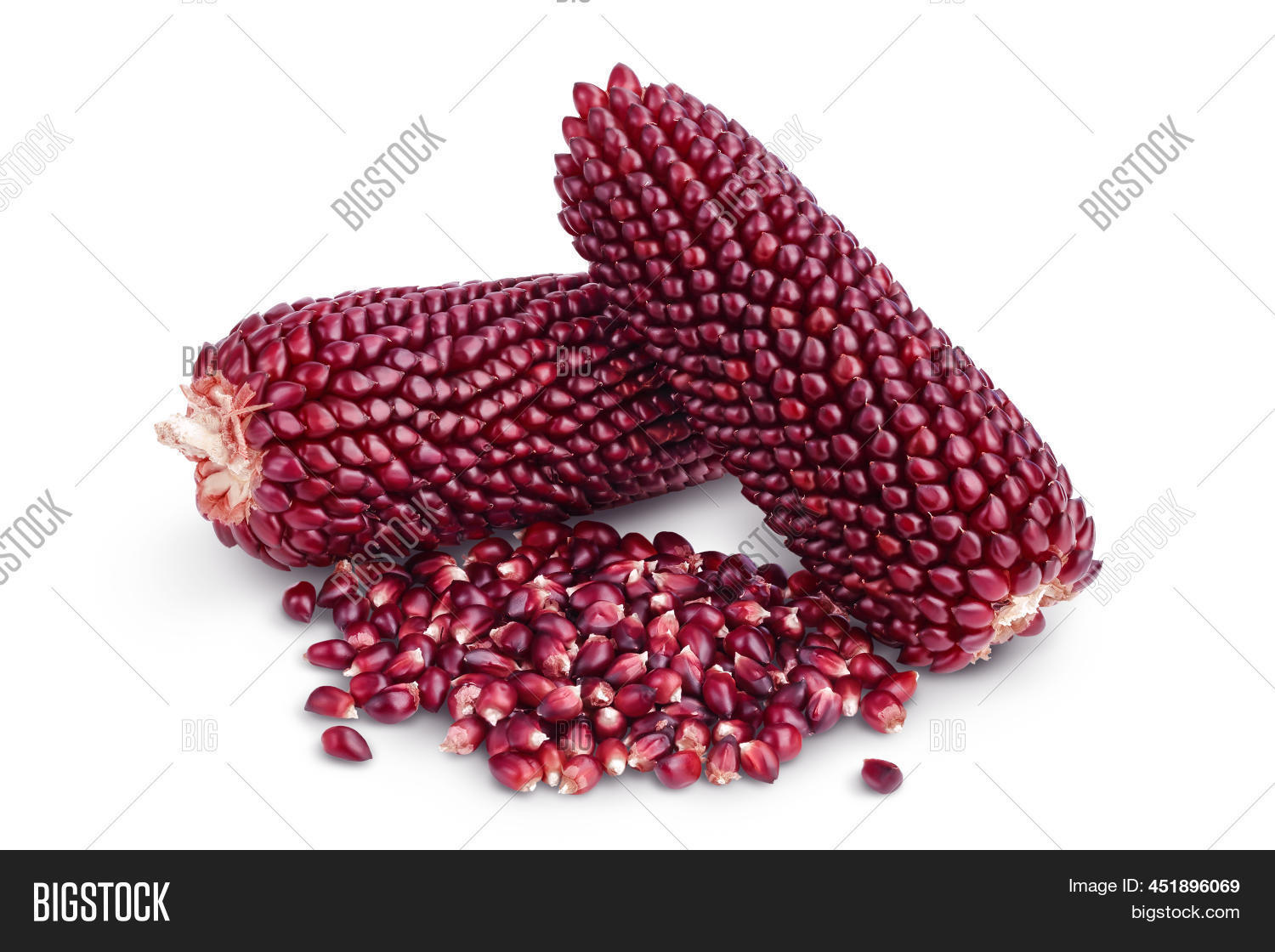 Purple Corn Maize Image & Photo (Free Trial) | Bigstock