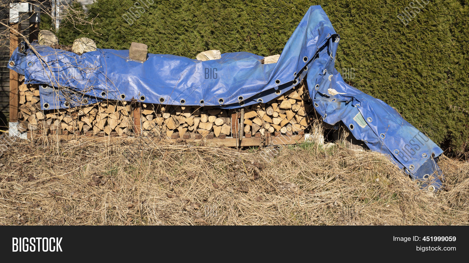 Chopped Wood Logs Image & Photo (Free Trial) | Bigstock