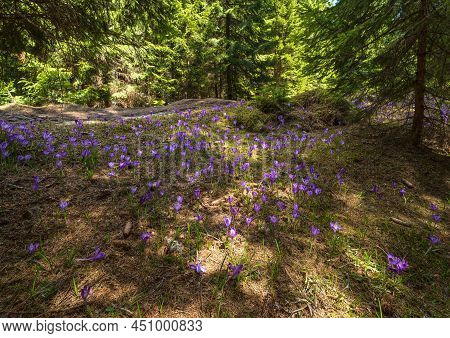 Purple Pathways Images, Illustrations & Vectors (Free) - Bigstock