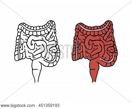 Intestines Doodle Vector & Photo (Free Trial) | Bigstock