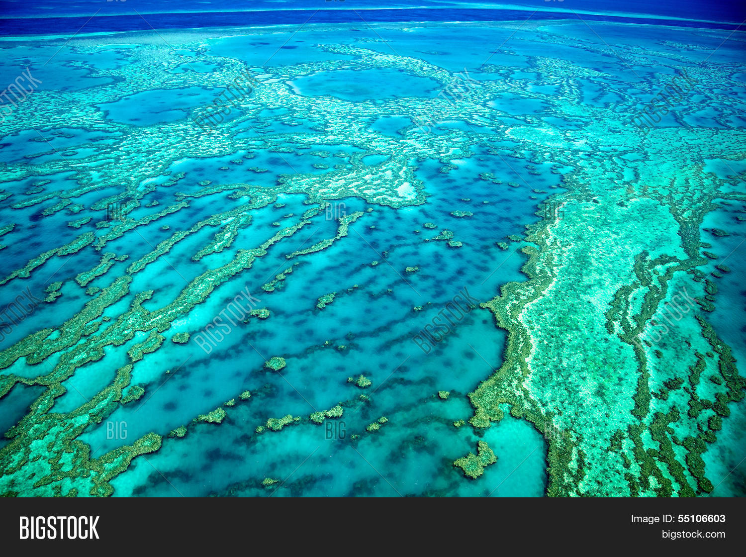 Coral Reef Image & Photo (Free Trial) | Bigstock