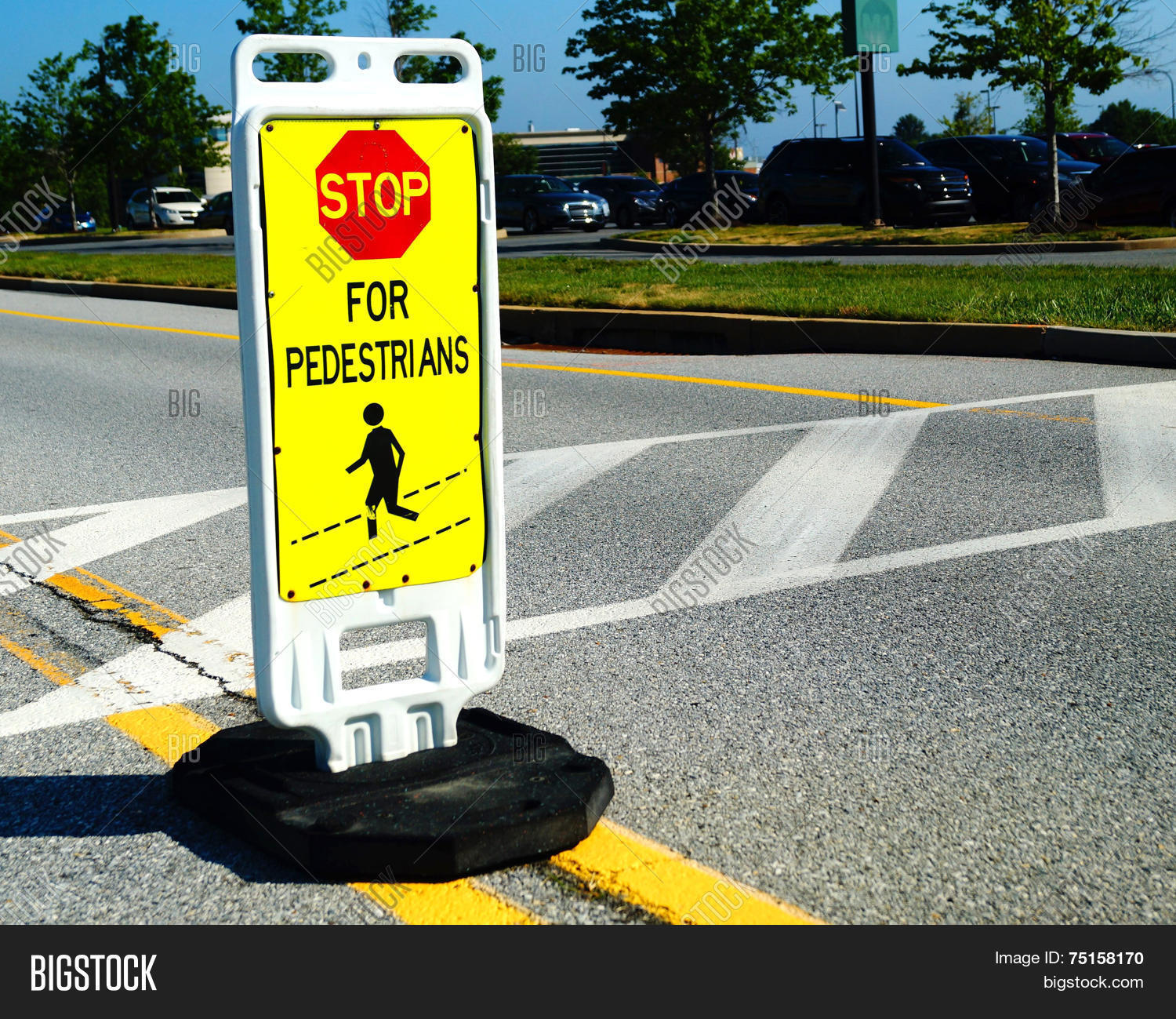 Pedestrian Crossing Image & Photo (Free Trial) | Bigstock