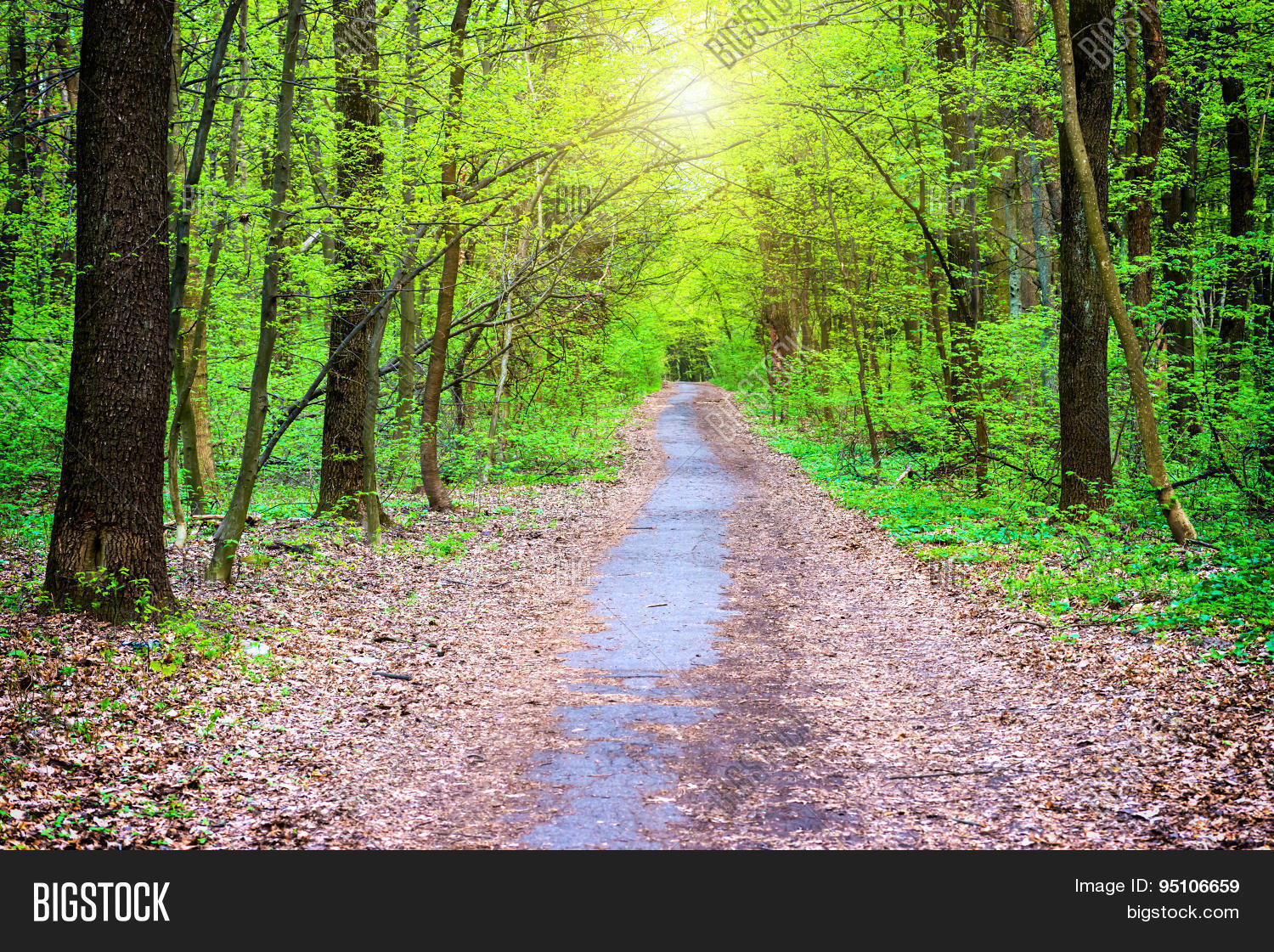 Path Beautiful Green Image & Photo (Free Trial) | Bigstock