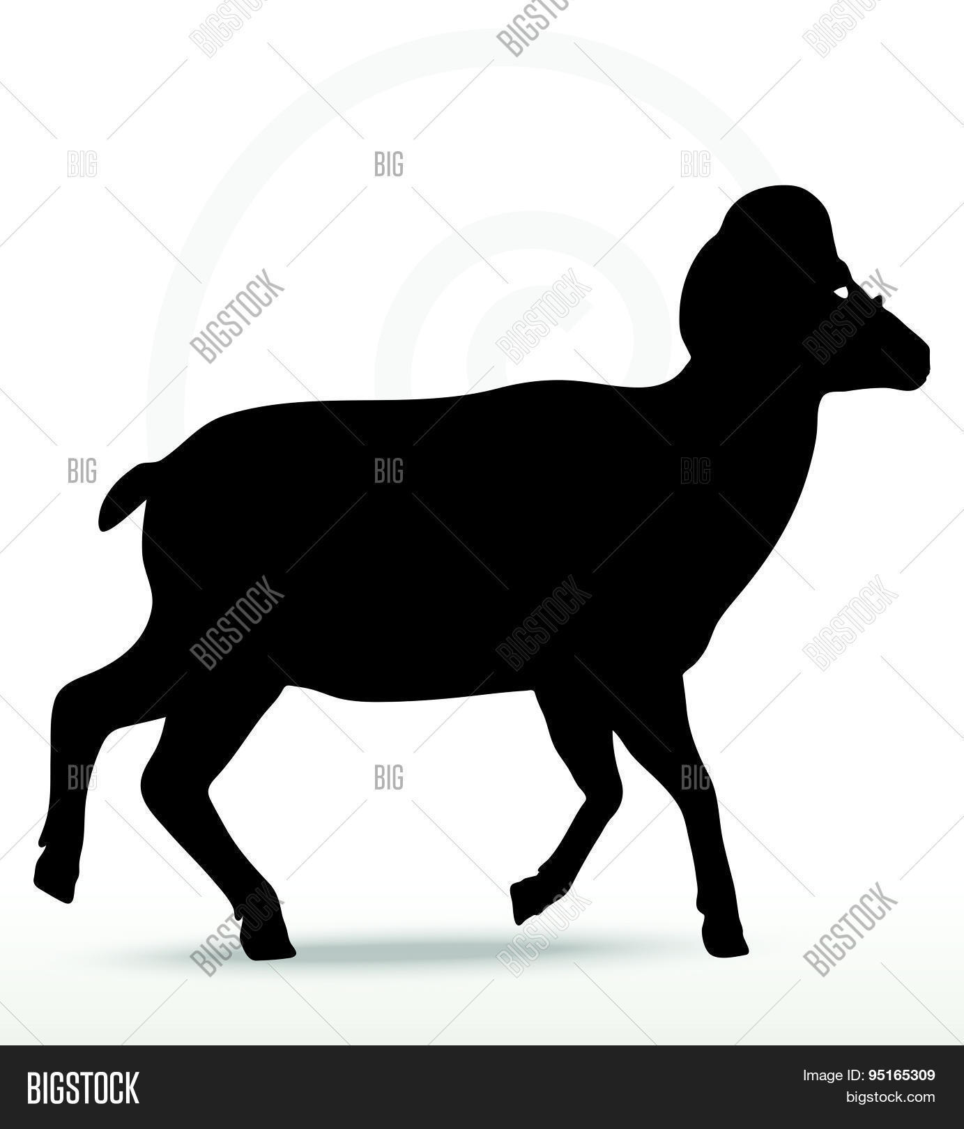 Big Horn Sheep Vector & Photo (Free Trial) | Bigstock