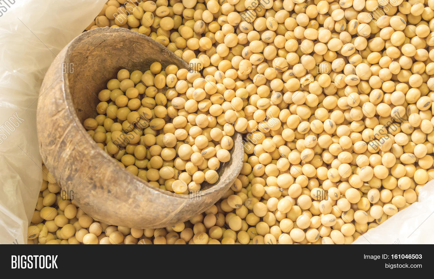 Soybean Organic Food Image & Photo (Free Trial) | Bigstock