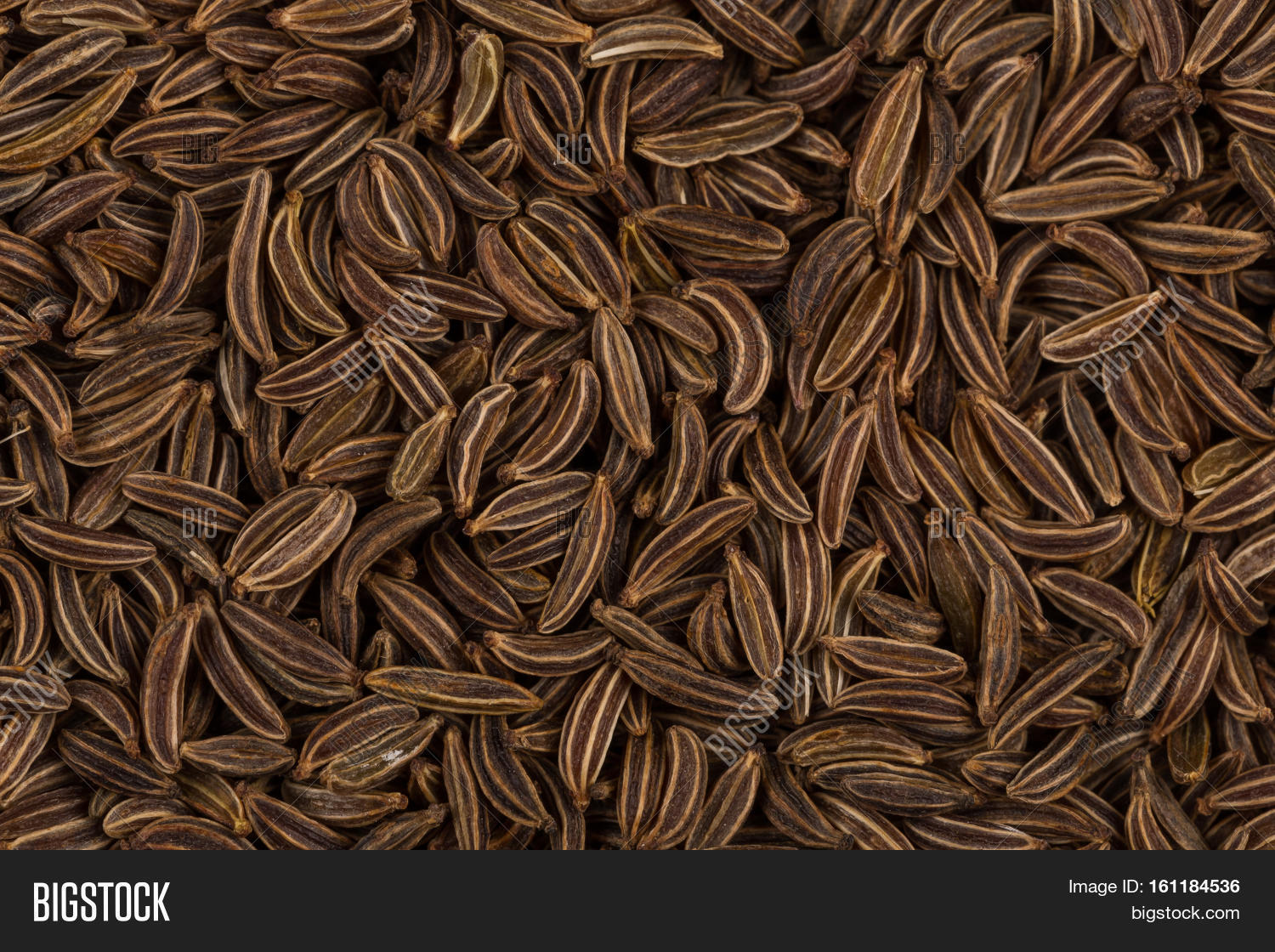 Close Caraway Seeds Image & Photo (Free Trial) | Bigstock