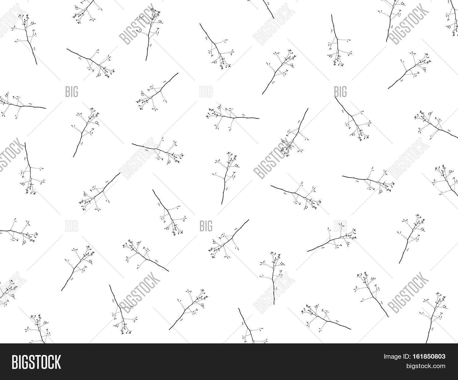 Sprig Tree On White Image & Photo (Free Trial) | Bigstock