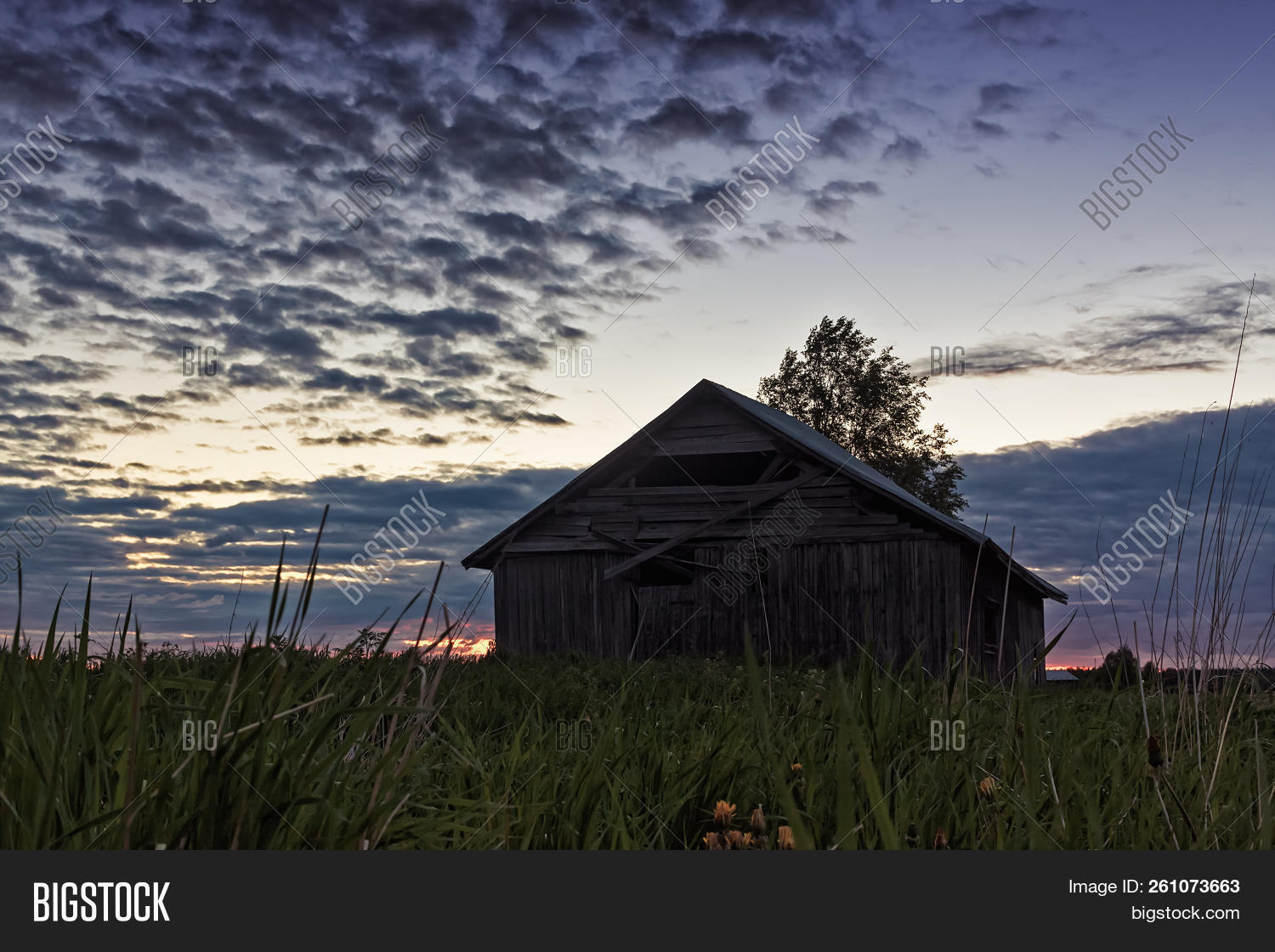 Midsummer Sun Barely Image & Photo (Free Trial) | Bigstock