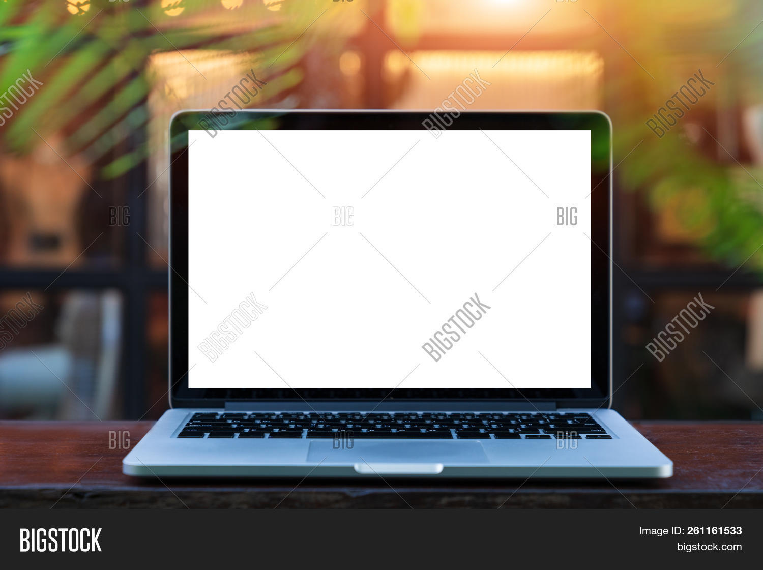 Laptop Blank Screen On Image & Photo (Free Trial) | Bigstock