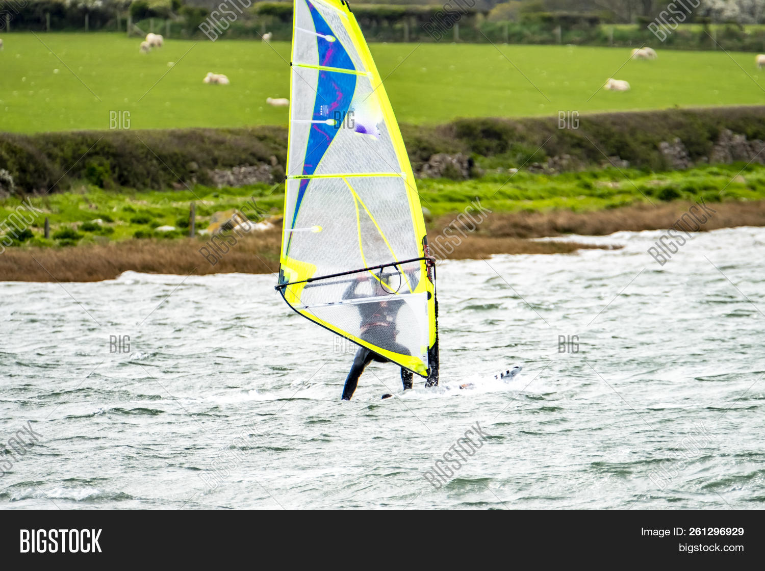 Man Windsurfing Close Image & Photo (Free Trial) | Bigstock