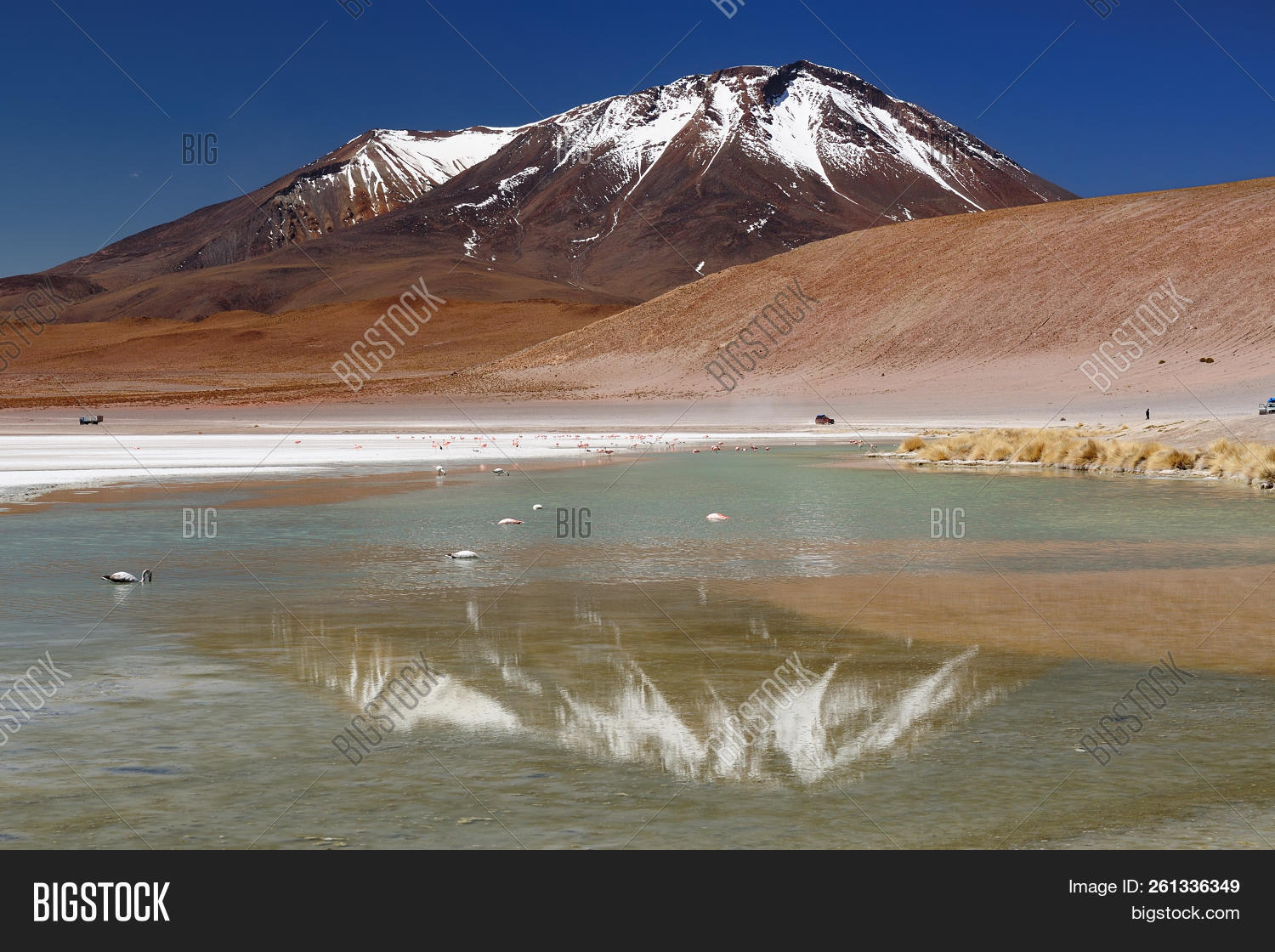 Bolivia - Most Image & Photo (Free Trial) | Bigstock
