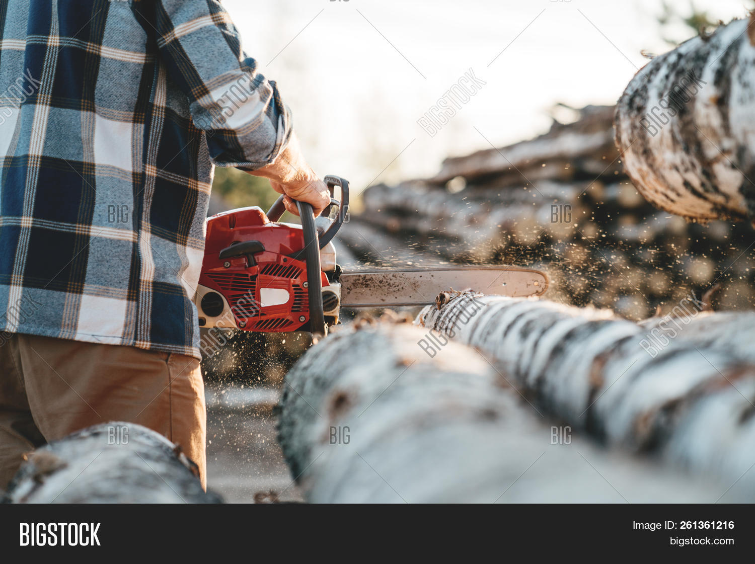 Professional Lumberman Image & Photo (Free Trial) | Bigstock