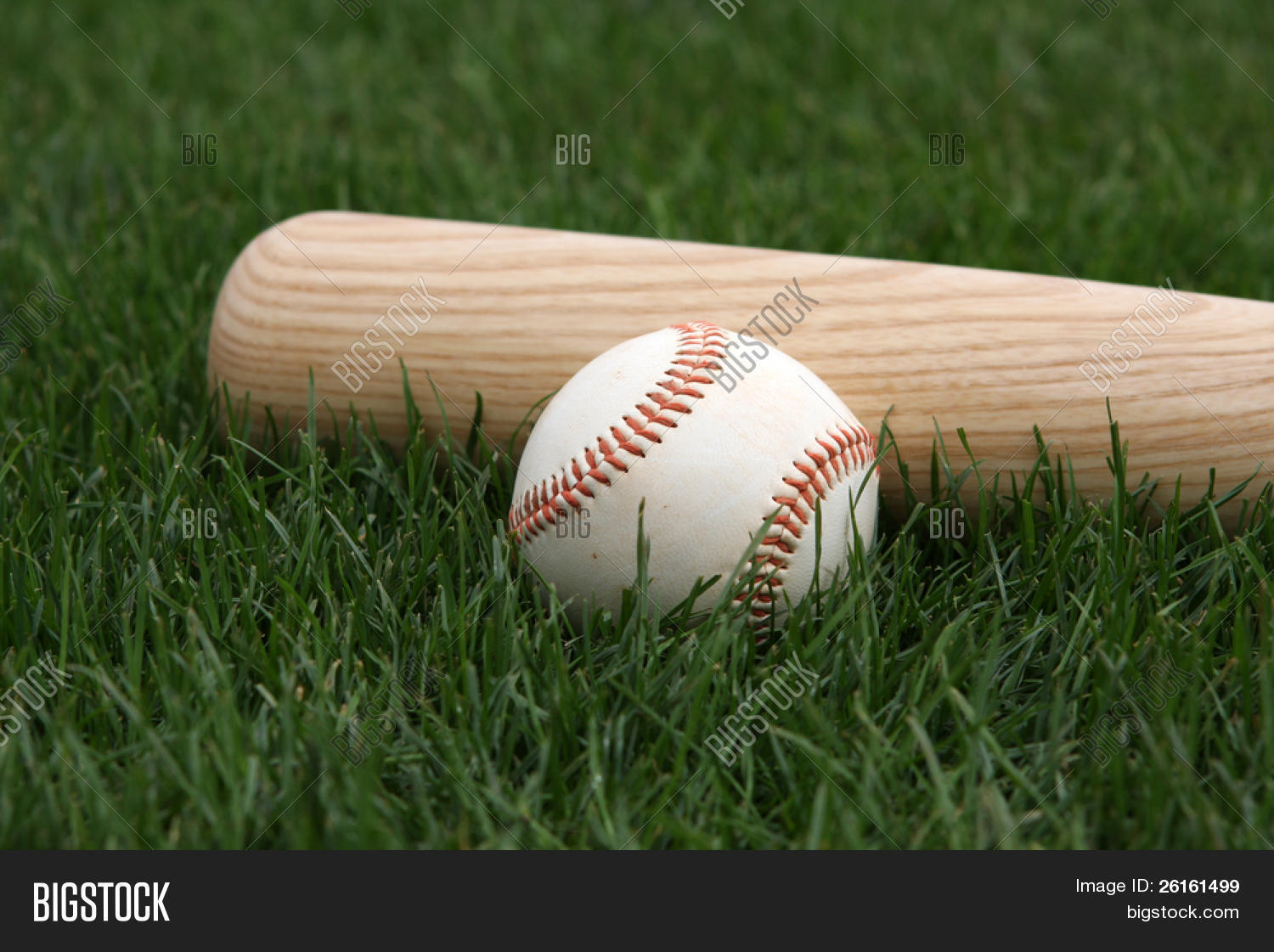Baseball & Bat On Image & Photo (Free Trial) | Bigstock