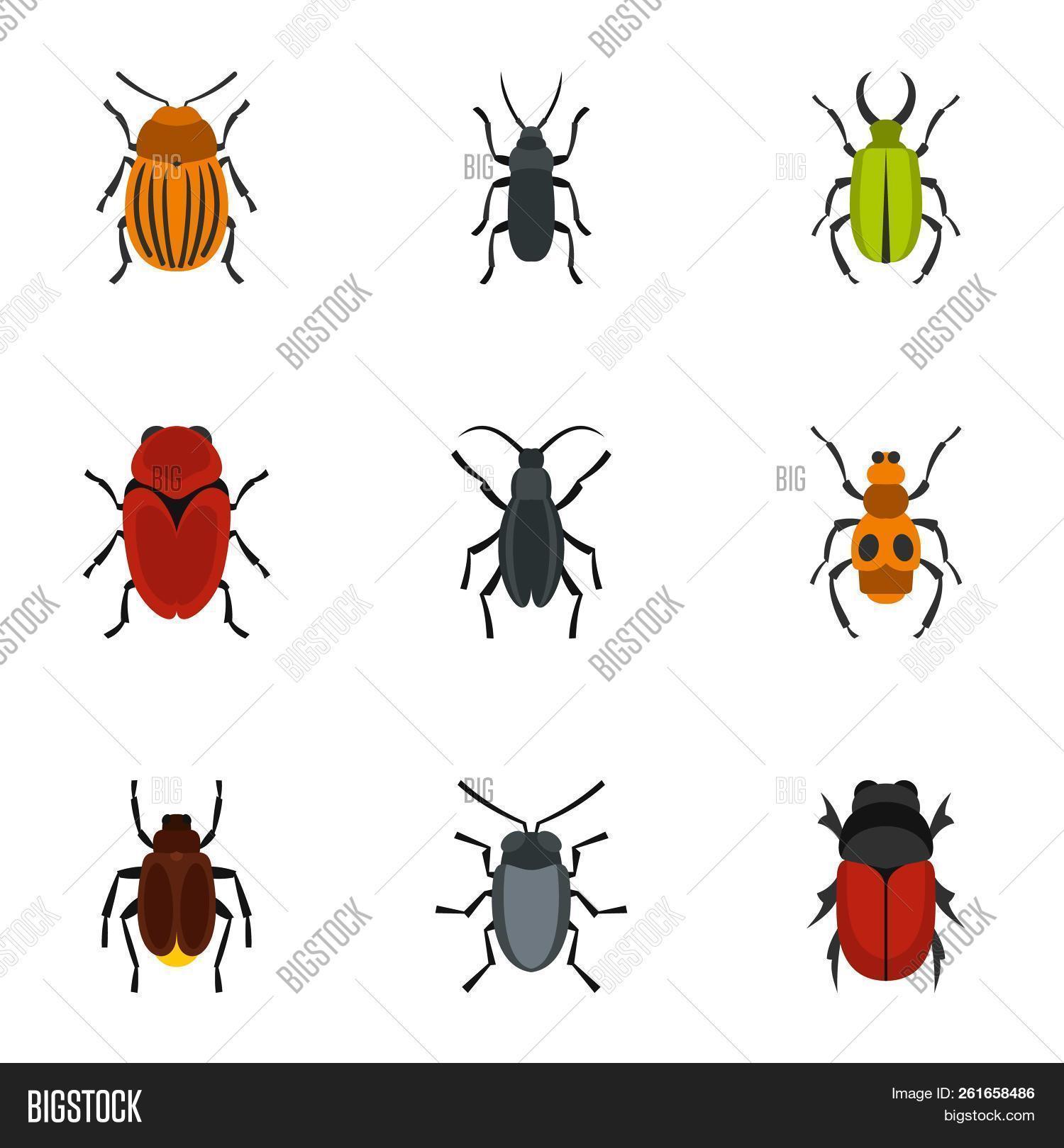 Bug Icons Set. Flat Image & Photo (Free Trial) | Bigstock