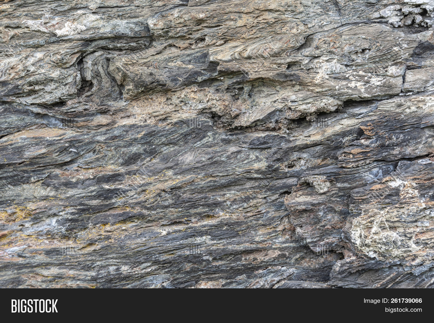 Rough Surface On Image & Photo (Free Trial) | Bigstock