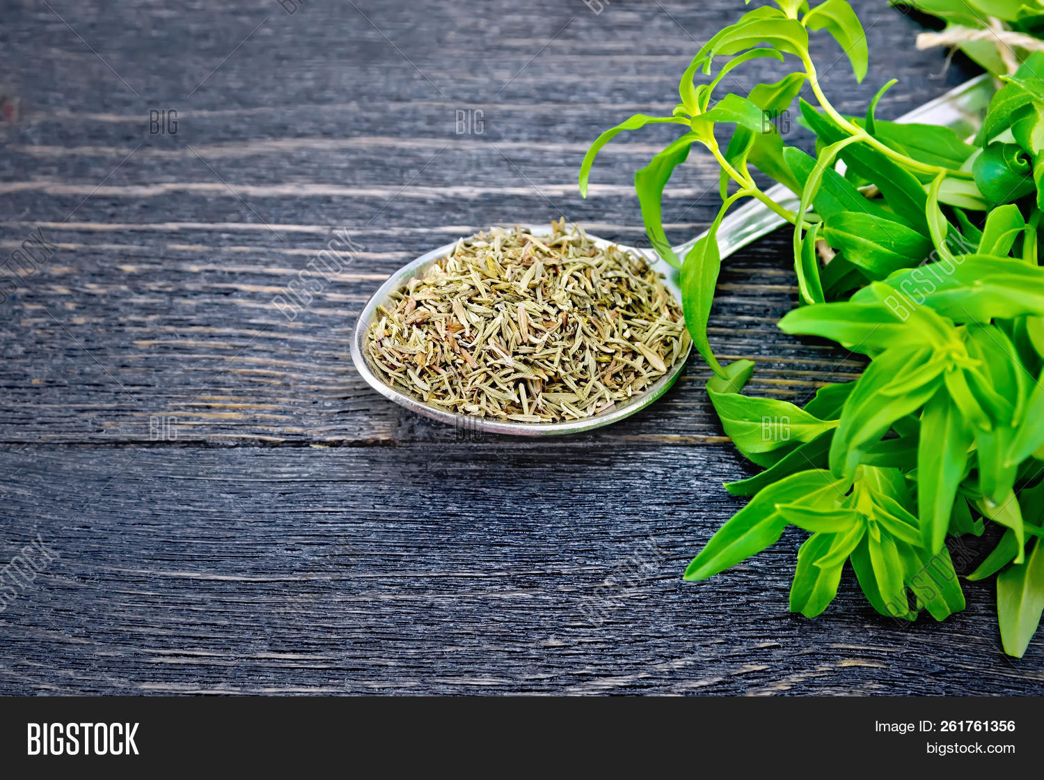 Savory Dry Metal Spoon Image & Photo (Free Trial) | Bigstock