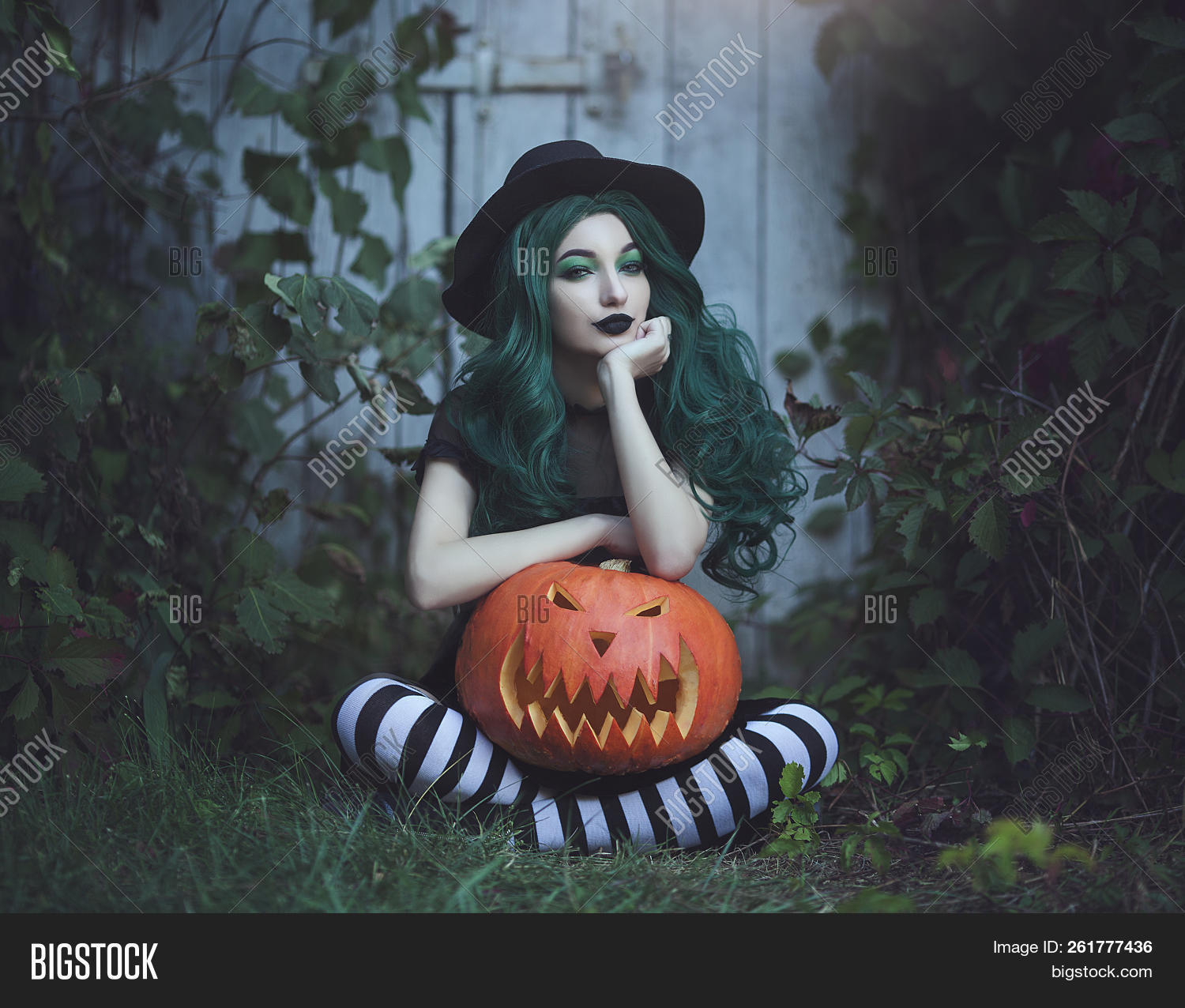 Halloween Witch Green Image & Photo (Free Trial) | Bigstock