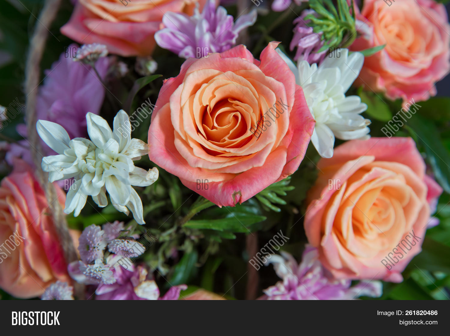 Multicolored Roses Image & Photo (Free Trial) | Bigstock