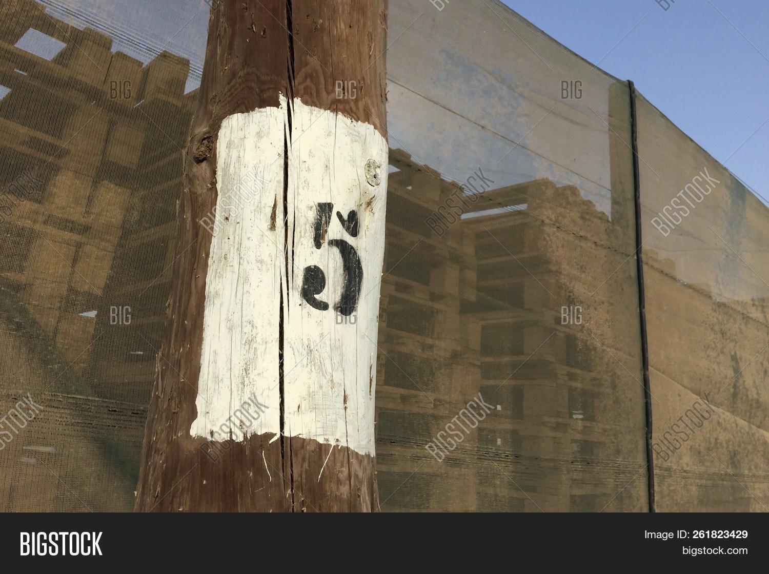 Numeral Five, Black Image & Photo (Free Trial) | Bigstock