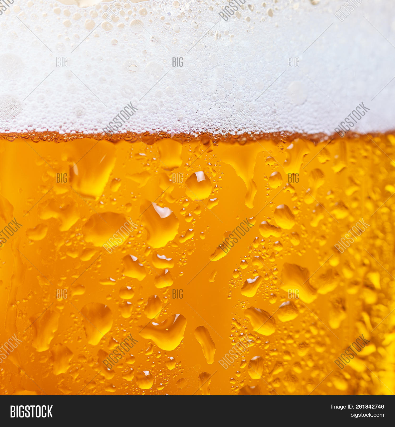 Close Cold Beer Glass Image And Photo Free Trial Bigstock