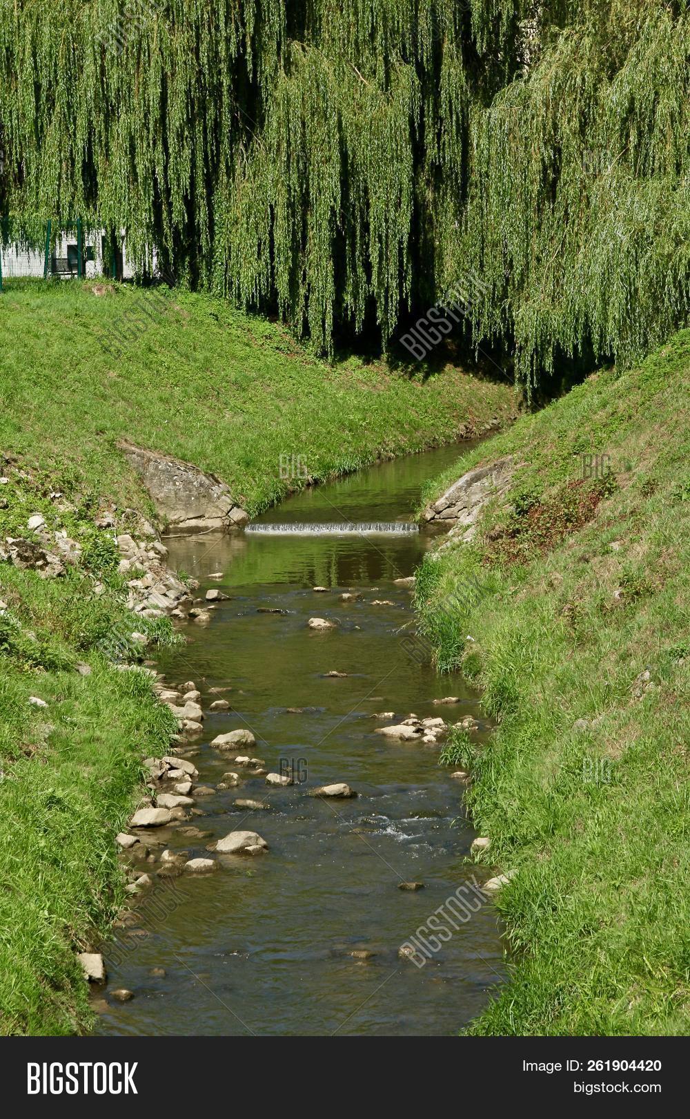 Small Stream Emerging Image & Photo (Free Trial) | Bigstock