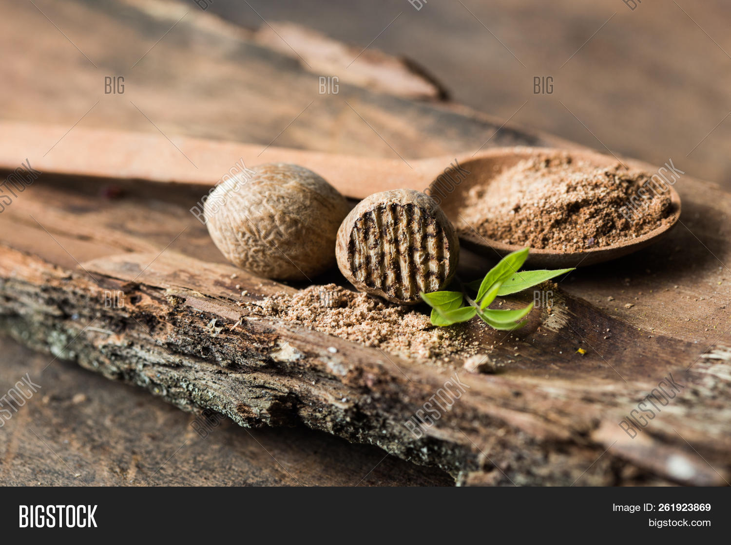 Dried Seeds Fragrant Image & Photo (Free Trial) | Bigstock