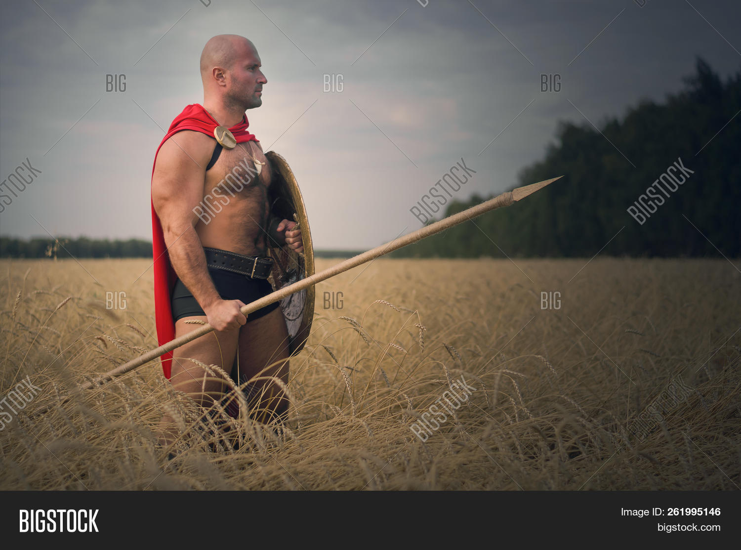 Spartan Ancient Image & Photo (Free Trial) | Bigstock