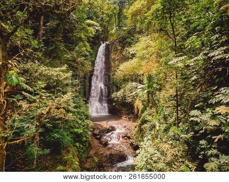 Exotic Waterfalls Images, Illustrations & Vectors (Free) - Bigstock