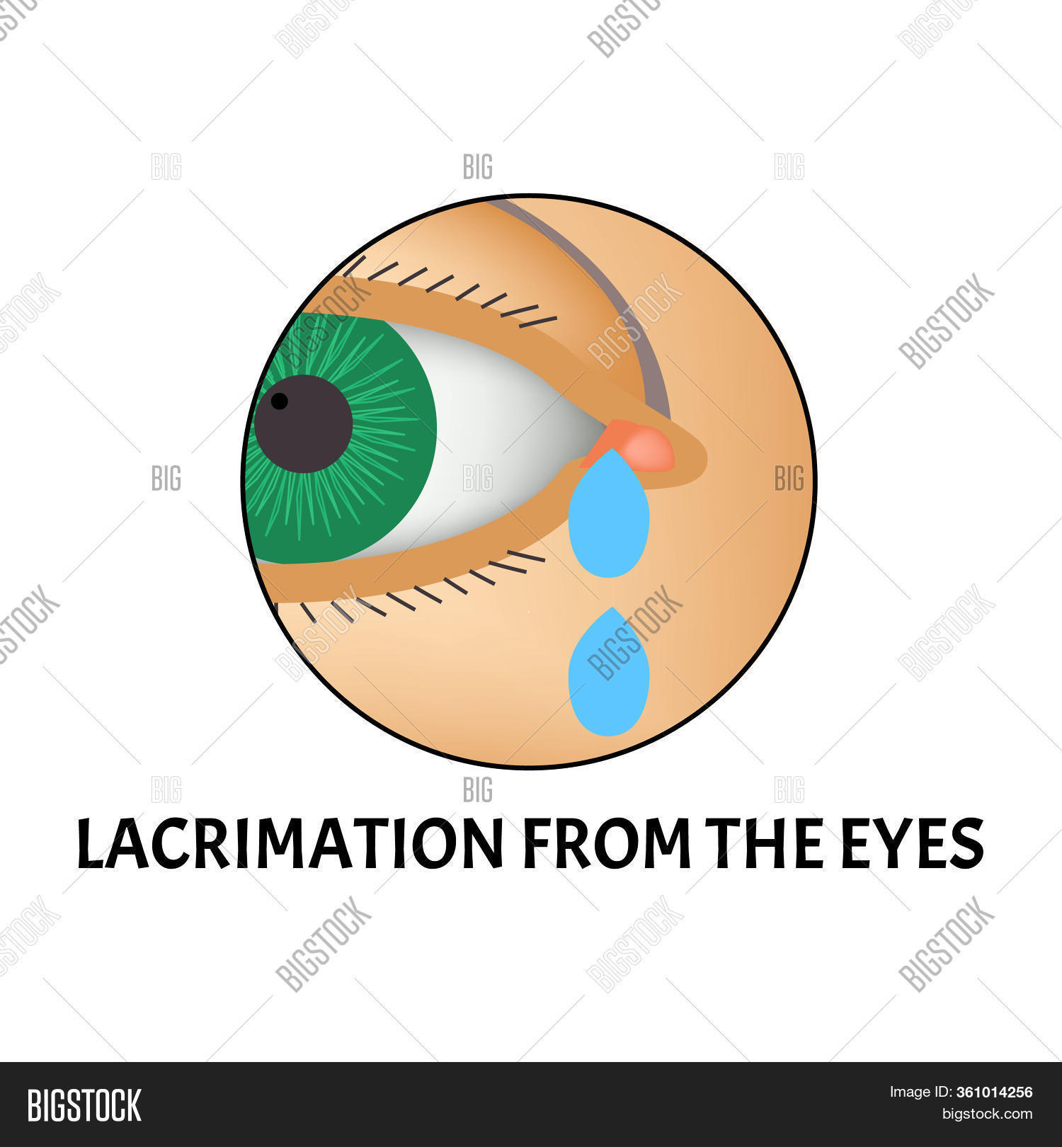Lacrimation Eyes. Image & Photo (Free Trial) | Bigstock