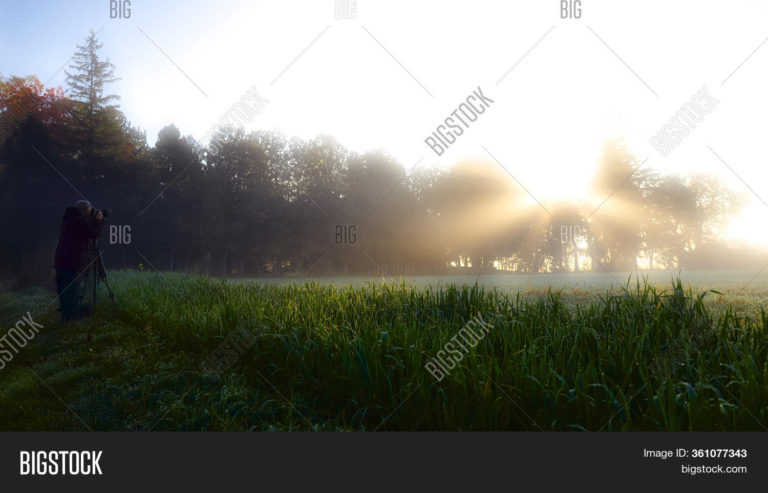 Farm Field Foggy Image & Photo (Free Trial) | Bigstock