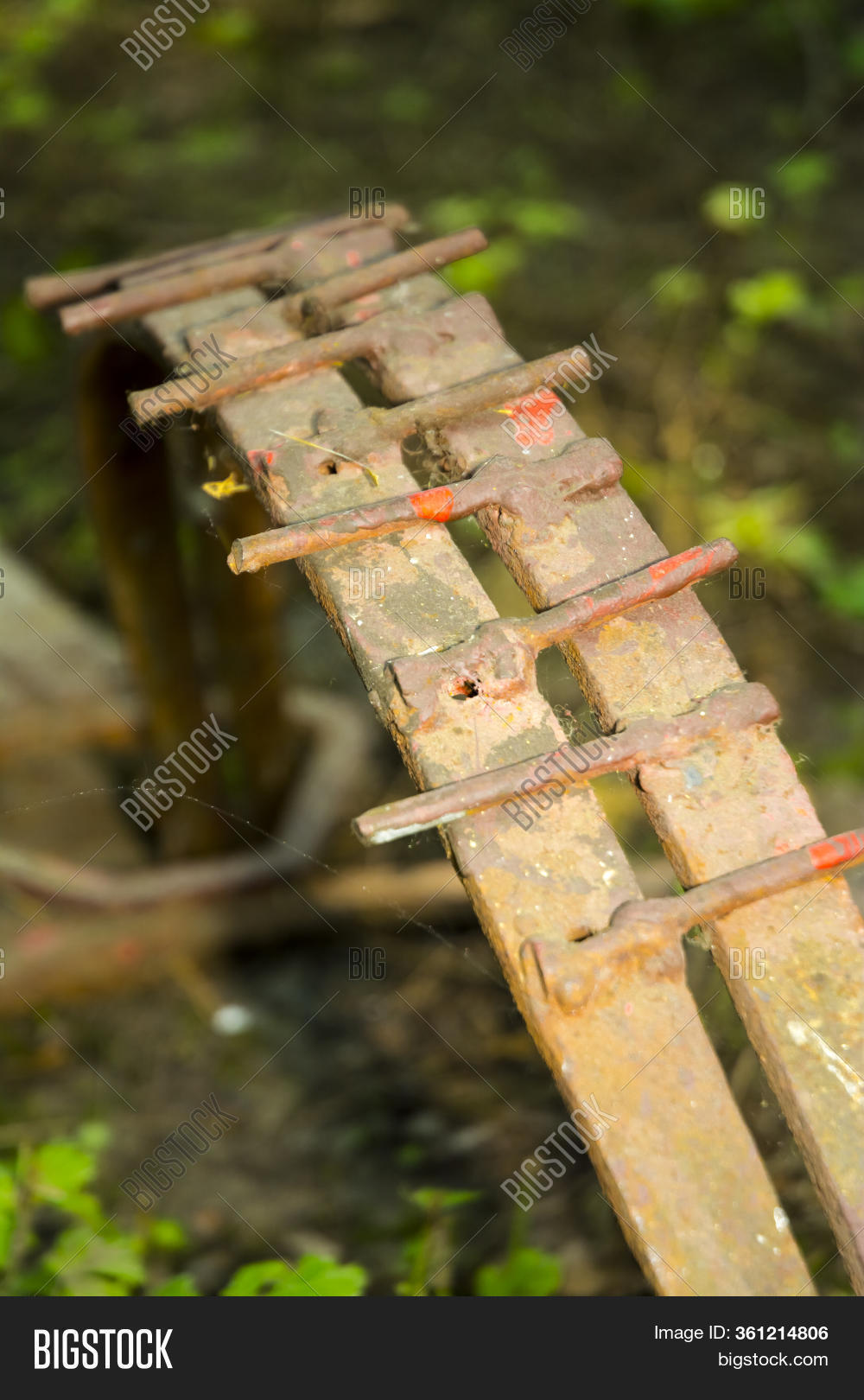 Rusty Bear Trap Image & Photo (Free Trial) | Bigstock