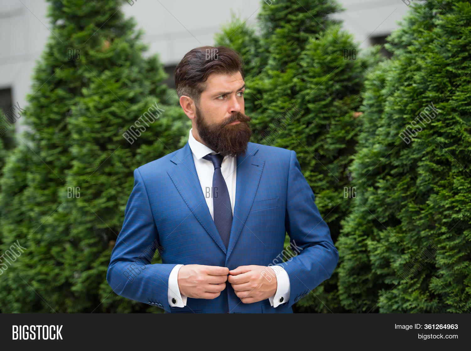 Successful Motivated. Image & Photo (Free Trial) | Bigstock