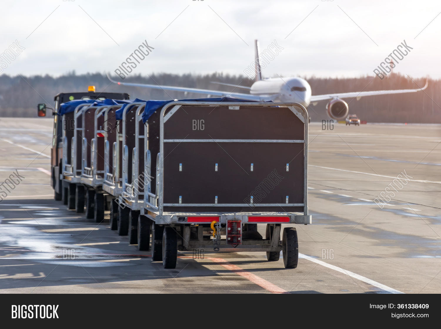 Empty Luggage Trolleys Image & Photo (Free Trial) | Bigstock