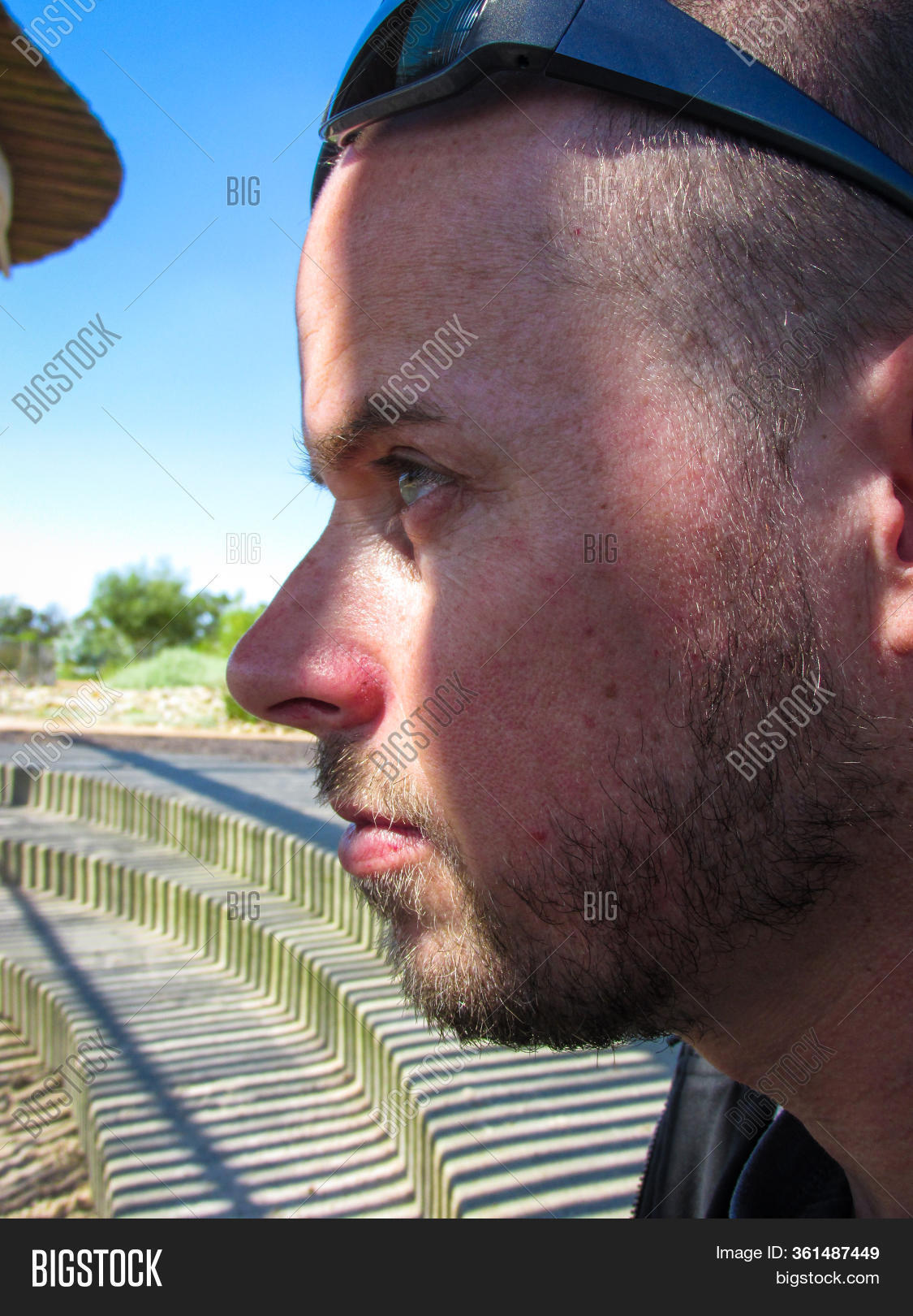Side View Man`s Face Image & Photo (Free Trial) | Bigstock