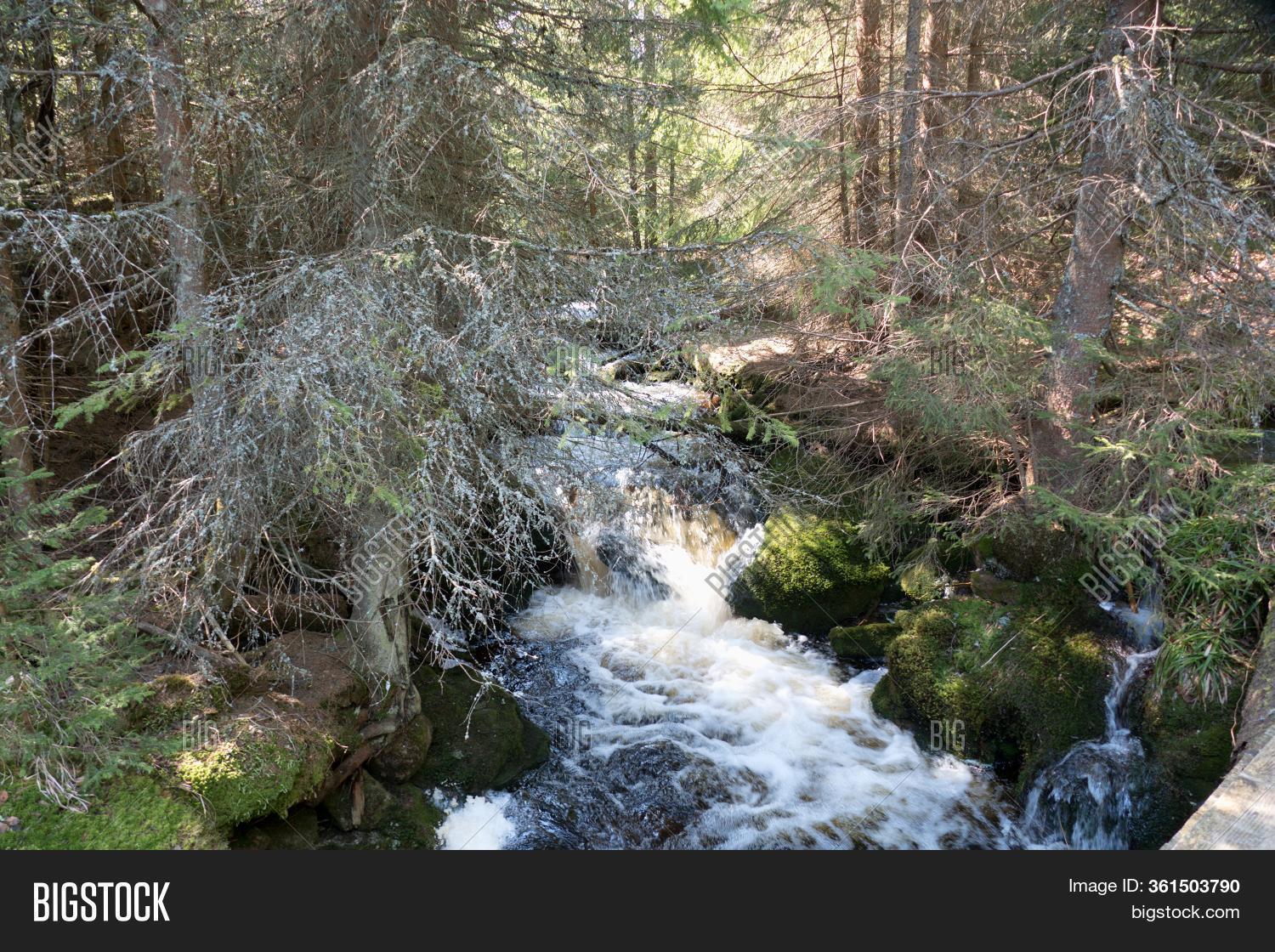 Pure Water Stream Image & Photo (Free Trial) | Bigstock