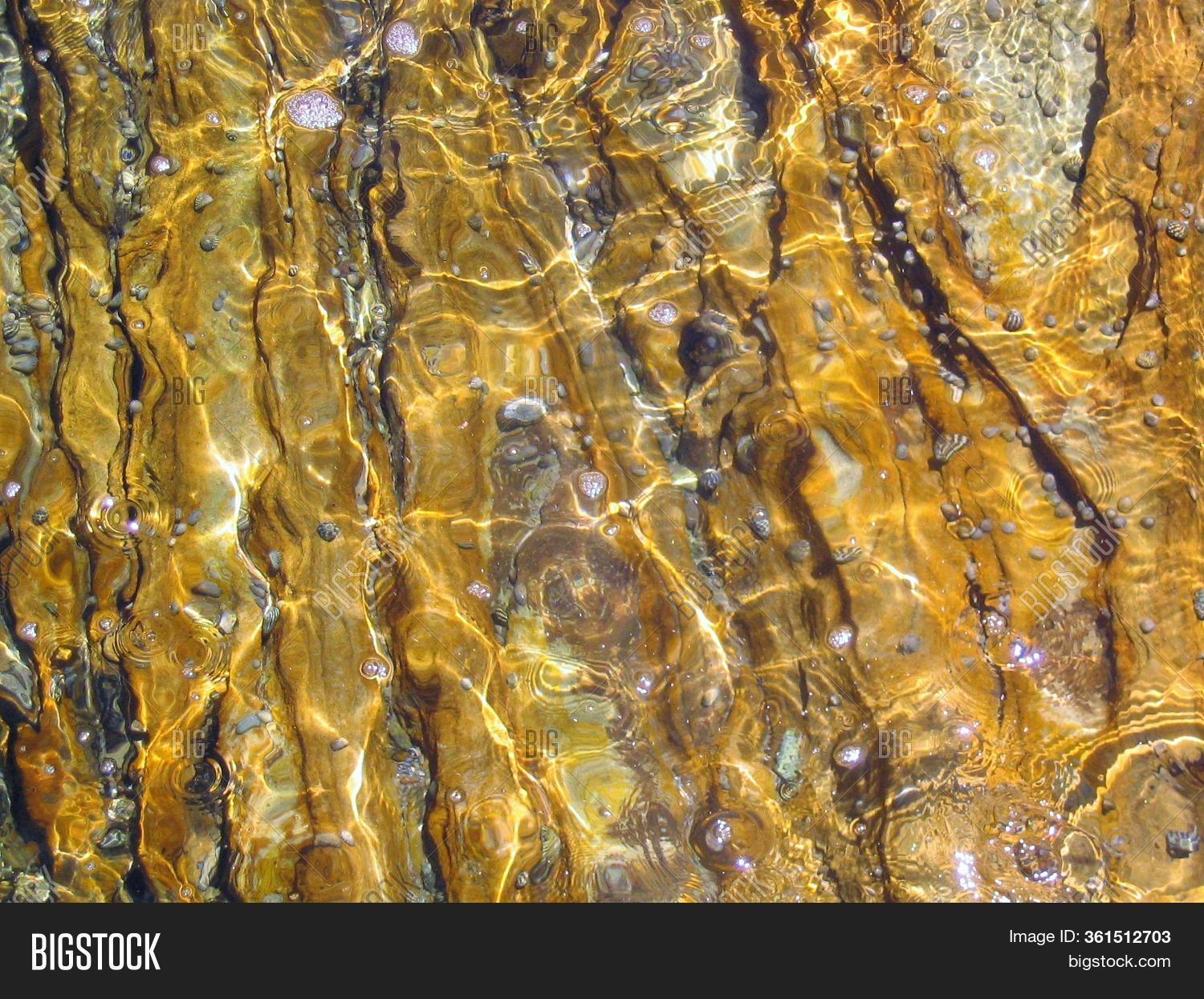Yellow Rocks Covered Image & Photo (Free Trial) | Bigstock