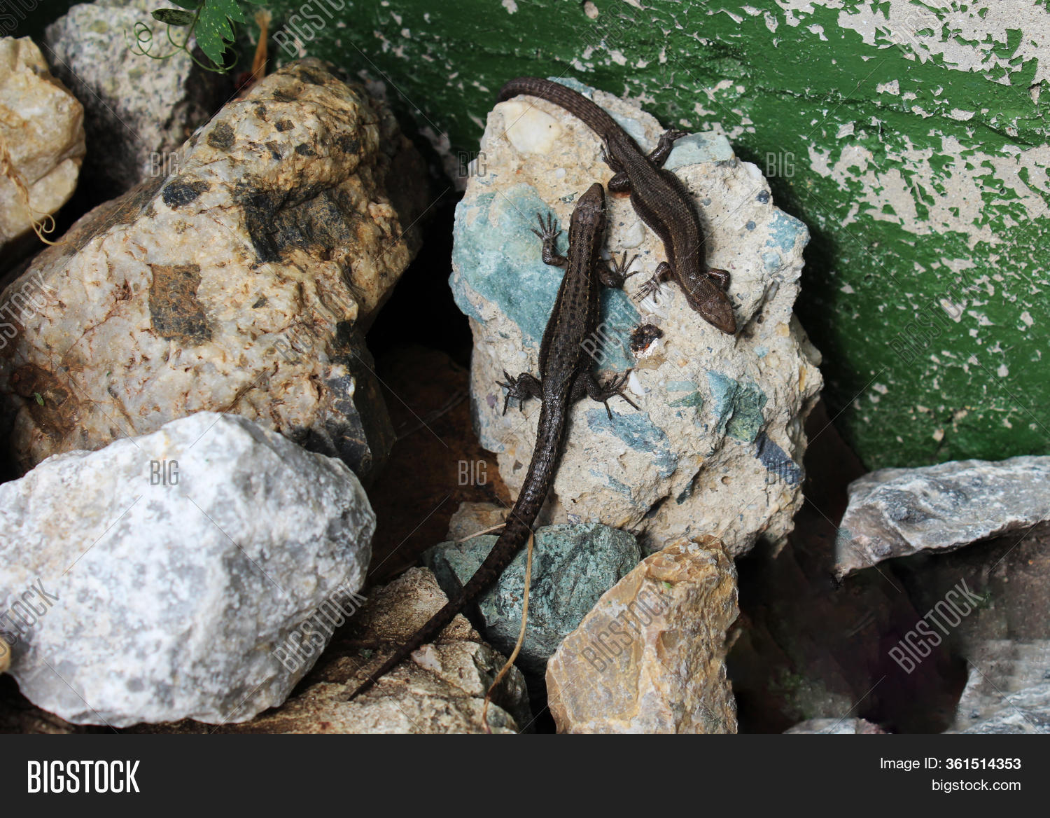 Chaotic Pyramid Image & Photo (Free Trial) | Bigstock