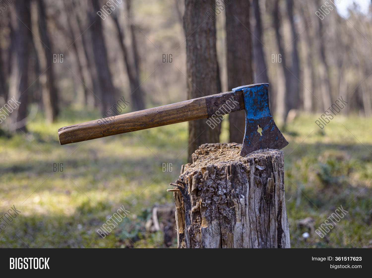 Ax Chopping Wood Image & Photo (Free Trial) | Bigstock