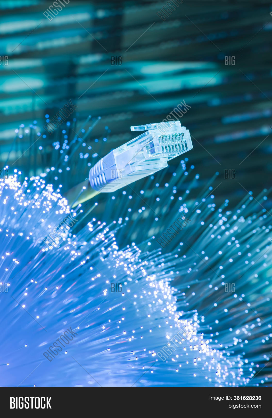 Ethernet Cable Lan Image & Photo (Free Trial) | Bigstock