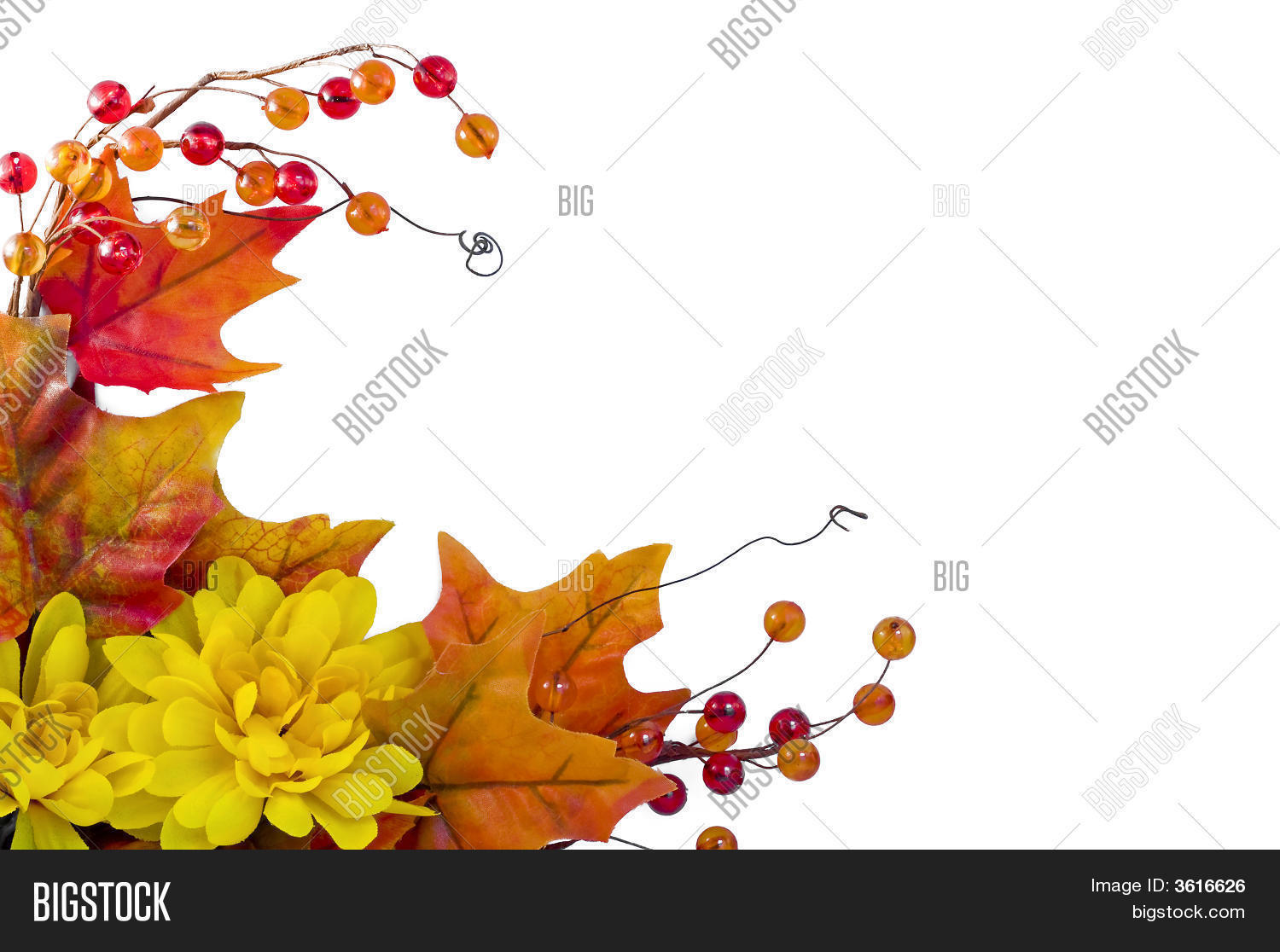 Corner Autumn Border Image & Photo (Free Trial) | Bigstock