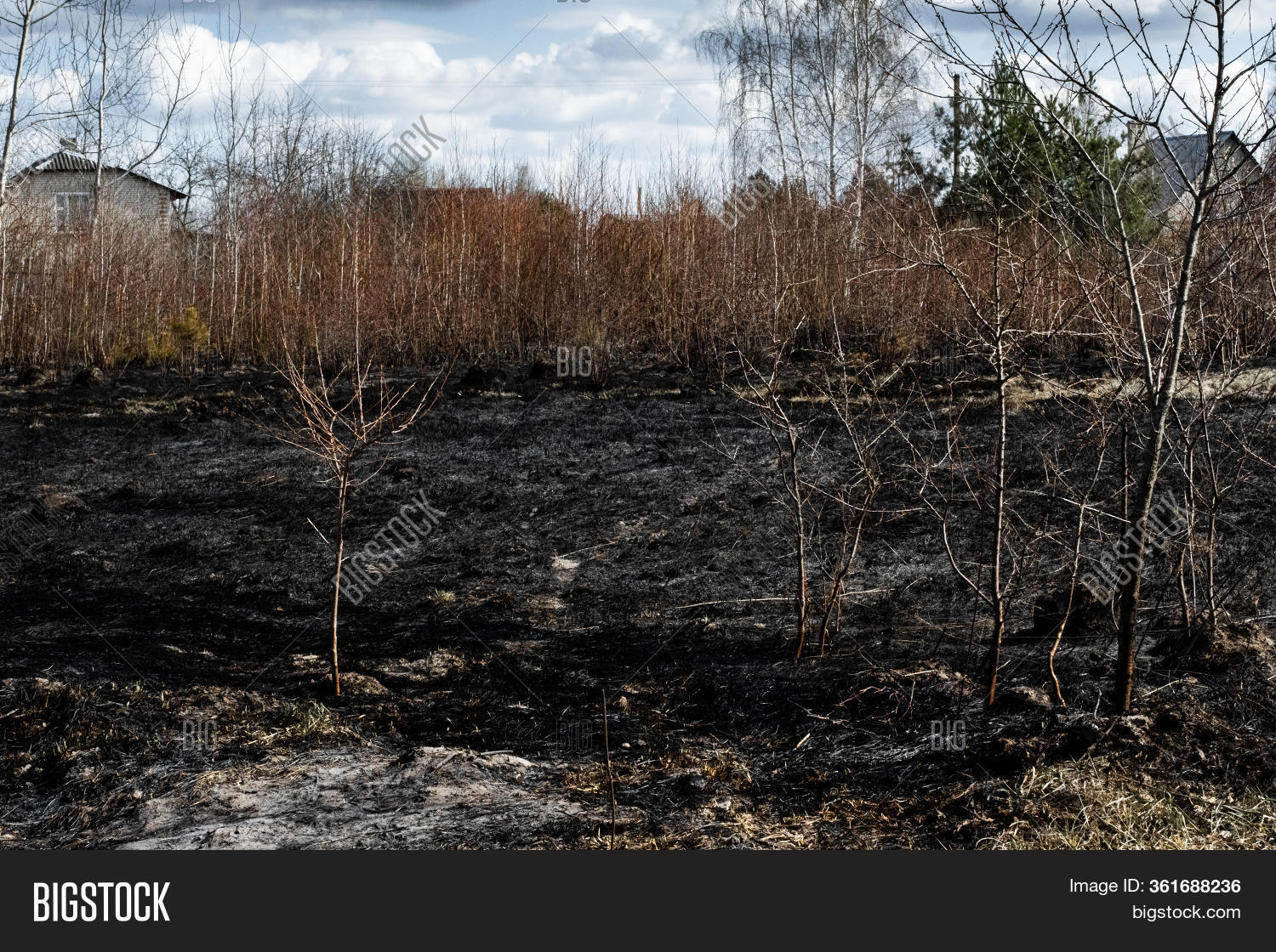 Aftermath Natural Image & Photo (Free Trial) | Bigstock