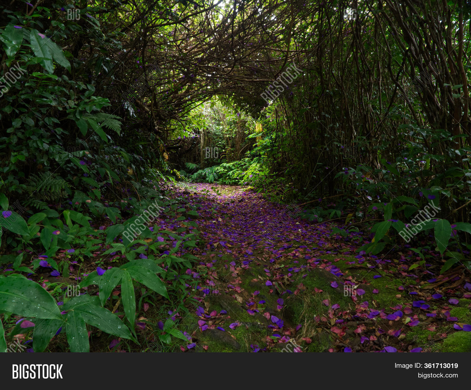 Follow Colored Path Image & Photo (Free Trial) | Bigstock