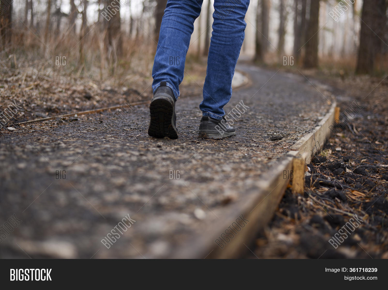 Walk Woods, Steps Man Image & Photo (Free Trial) | Bigstock