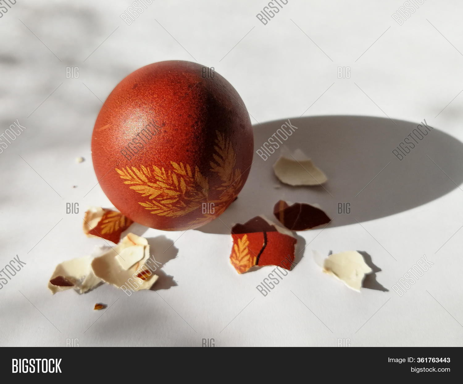 Cracked Easter Egg Image & Photo (Free Trial) | Bigstock