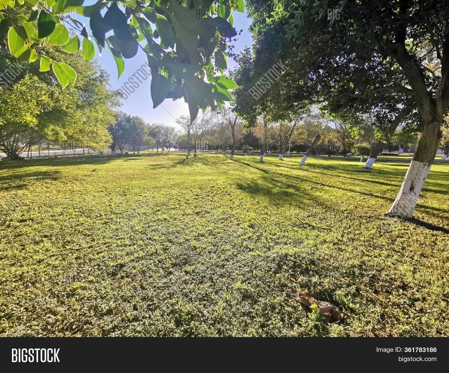 Paisaje Soleado Dí Image & Photo (Free Trial) | Bigstock